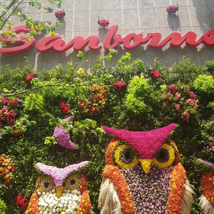 flores-samborns