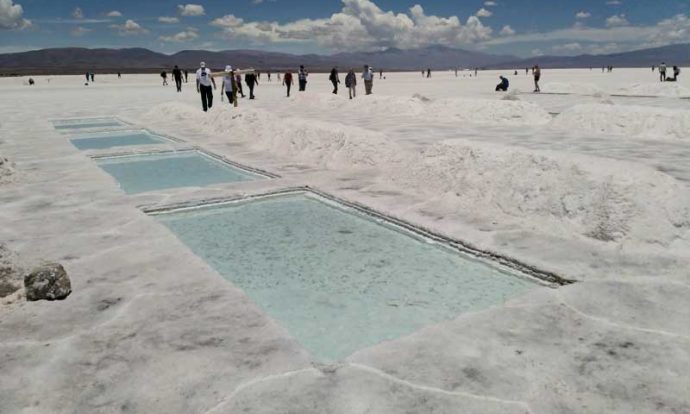 19-salar