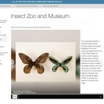 recorridos-virtuales-por-estados-unidos-houston-museum-of-natural ...