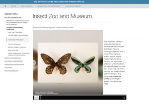 recorridos-virtuales-por-estados-unidos-houston-museum-of-natural ...