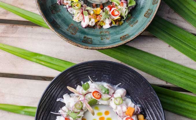 hotel-boutique-en-tulum-ceviche