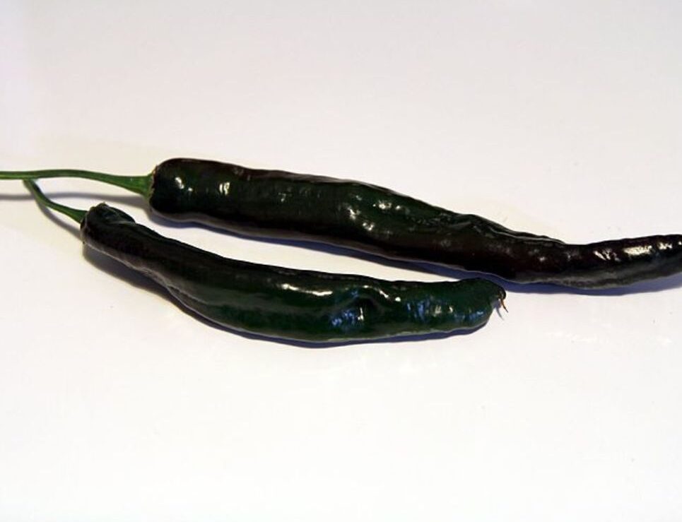 chilaca | Gourmet de México