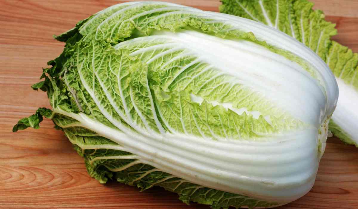 Origen, usos y propiedades de la col china que debes conocer