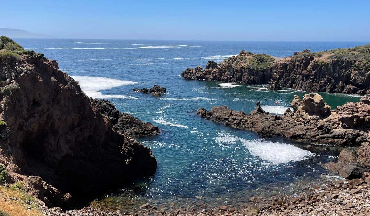 Así recolectamos ostiones junto a pescadores de Ensenada