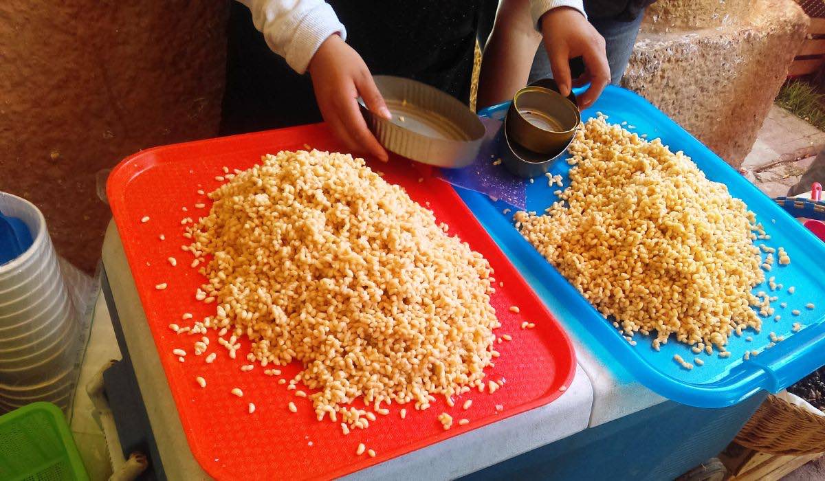 Así es la recolección de escamoles, el caviar blanco de México