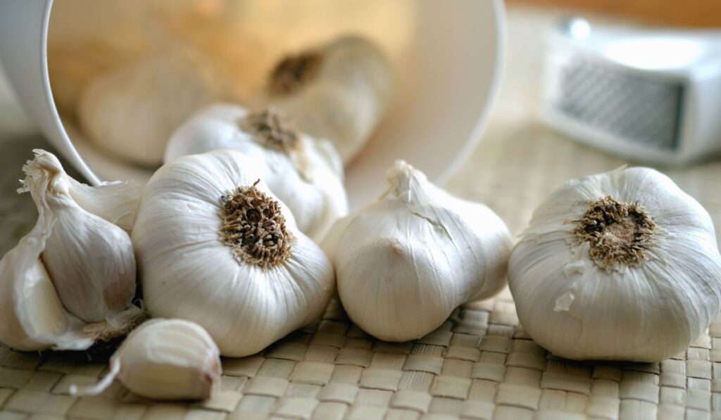 tipos-de-ajos-7