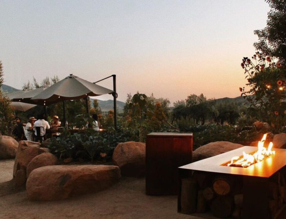 fauna-restaurante-mexicano-1