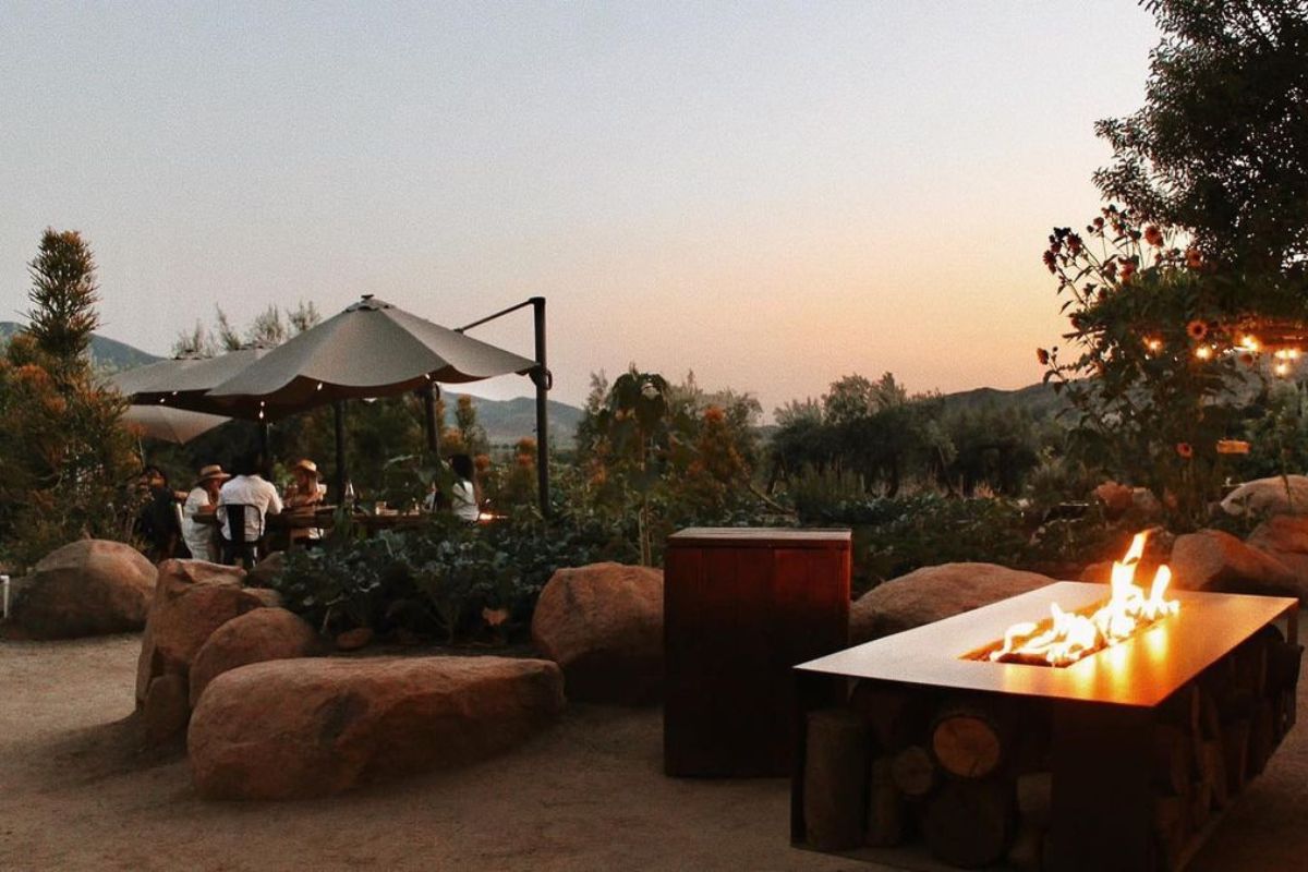 fauna-restaurante-mexicano-1