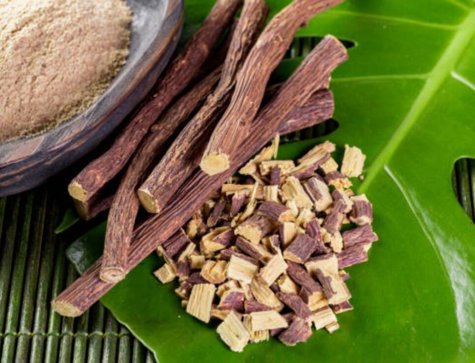 regaliz-beneficios-y-usos-4