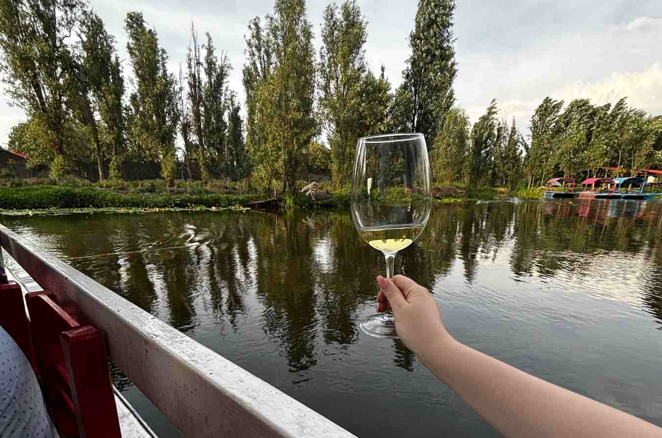 Las trajineras de Xochimilco con una cena maridaje y Vinos Rueda: así ...