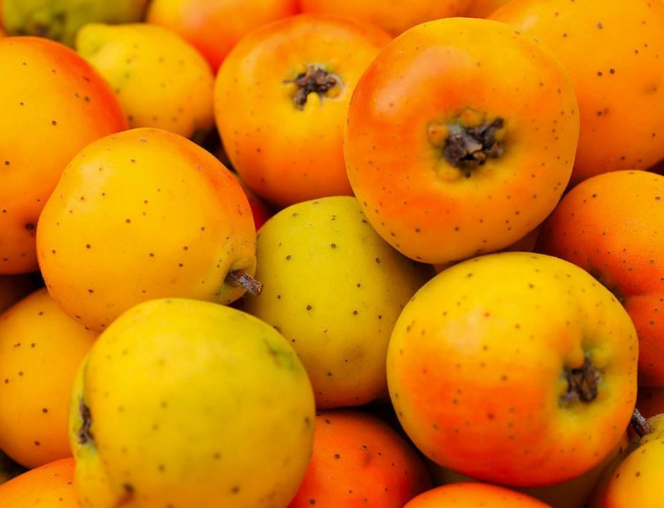 tejocotes-fruta-temporada-p